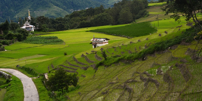 The Top 8 Places To Visit In Ziro: A Traveller’s Delight - TripXL