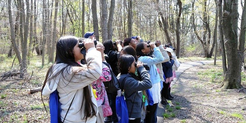 Eco Adventure Park: Gear Up For A Fascinating Experience - TripXL