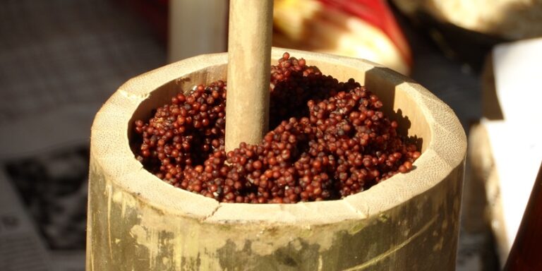 10 Of The Best Food In Darjeeling To Try - TripXL