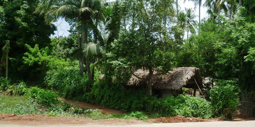 Sakhigopal Temple: A Sacred And Historically Prominent Site - TripXL