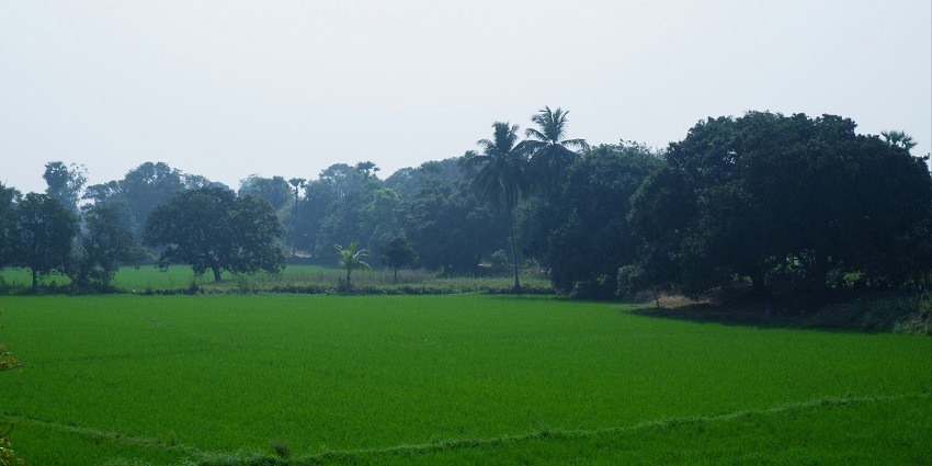 Places To Visit Near Kakinada: A Guide About Its Jewels - TripXL