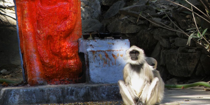 10 Places To Visit In Mount Abu For A Picturesque Getaway - TripXL