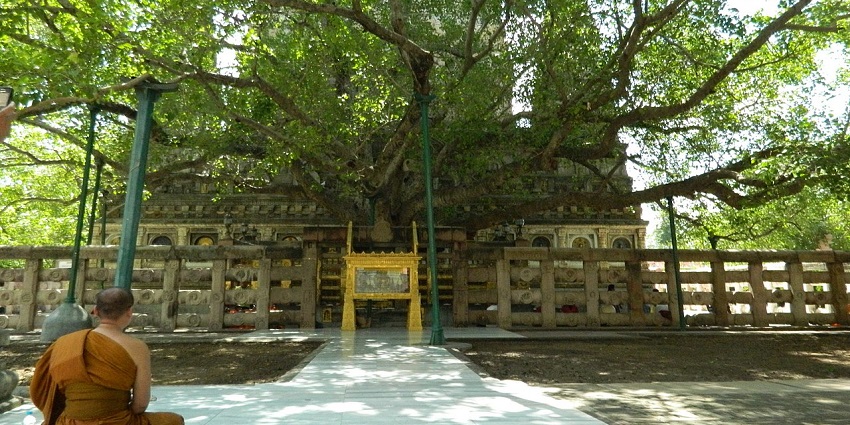 Tergar Monastery: Delve In Spirituality And Culture In Bihar - TripXL