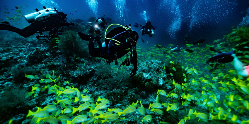 Scuba Diving In Goa Baga Beach: Dive Into Adventure - TripXL