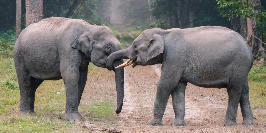 Discover Top Places To Visit In Rewa For An Amazing Experience - TripXL