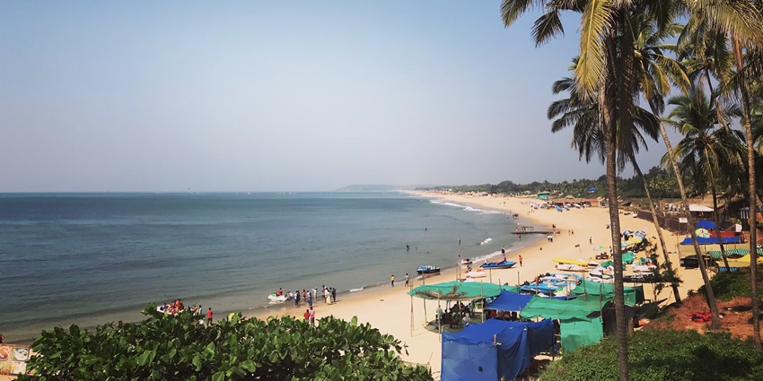 Top 10 Things To Do In Baga Beach Goa For A Vibrant Holiday - TripXL