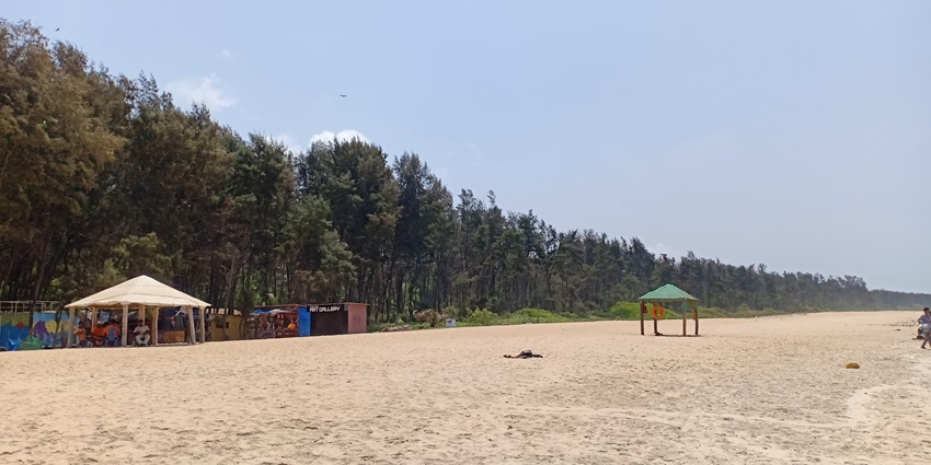 Beaches In Mangalore: Golden Shores Are Beckoning You - TripXL