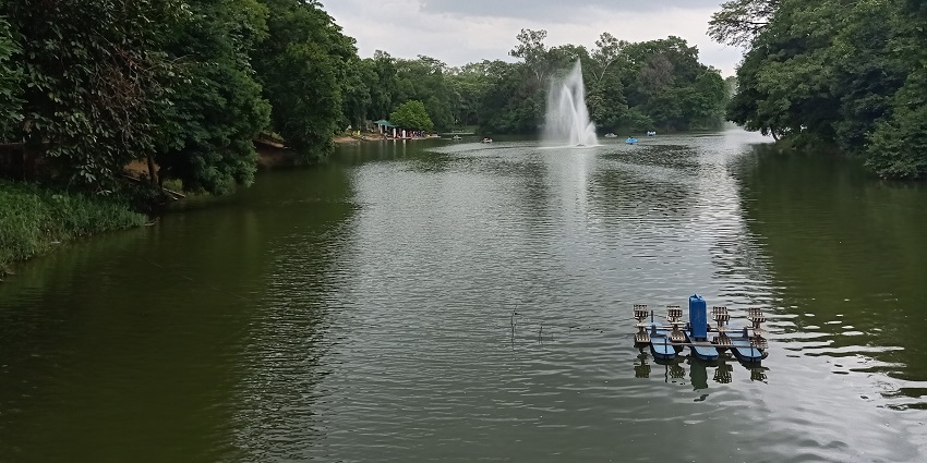 Explore Patna Zoo: A Wildlife Haven & Family Adventure Spot - TripXL