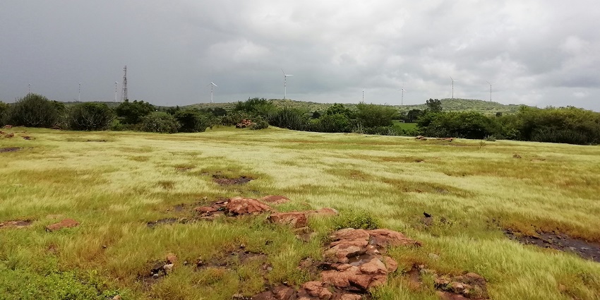 Deesa Gujarat Skydiving: An Adventure For Every Daredevil - TripXL