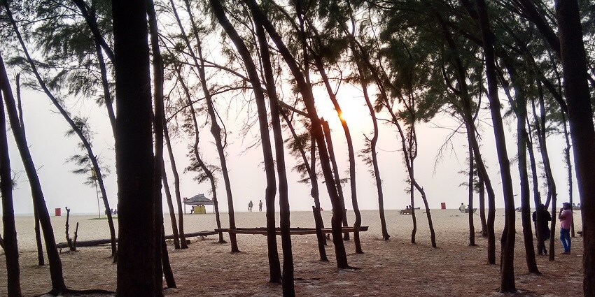 Pilikula Water Park: A Perfect Day Out For Enjoyment - TripXL