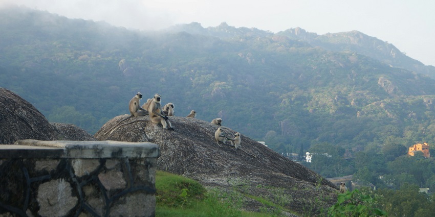 Achalgarh Fort: A Testament To Rajasthan’s Rich Heritage - TripXL