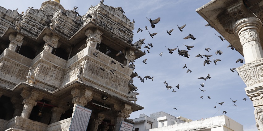 Kankarwa Fort: Exploring The Legacy Of Mewar Dynasty - TripXL