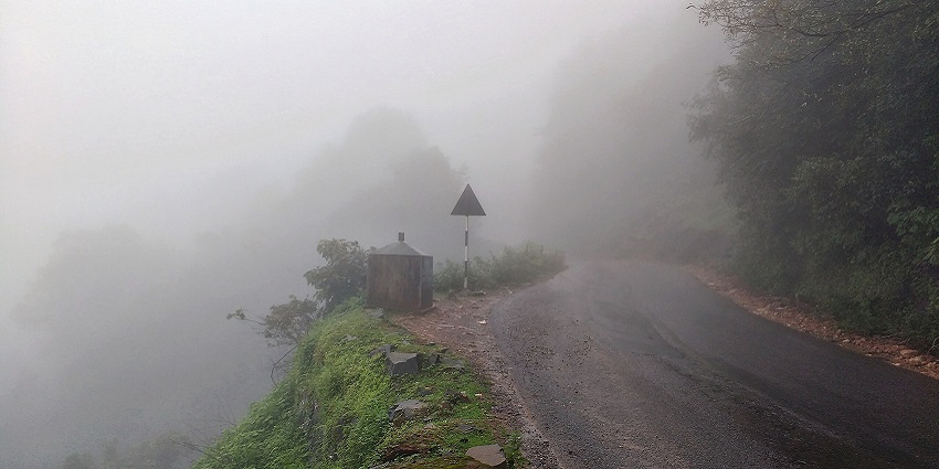Explore the Rich Wildlife of Coorg Sanctuary: Nature Awaits You - TripXL