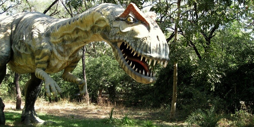 Indroda Nature Park: A Wildlife Sanctuary In Scenic Gujarat - TripXL