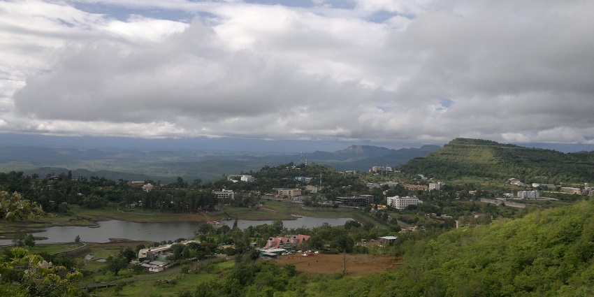 Surat National Park: Explore The Exotic Fauna In Gujarat - TripXL