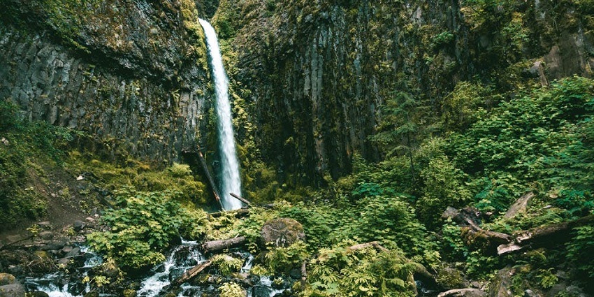 Duduma Waterfalls: Chasing Waterfalls And Dreams In Odisha - TripXL