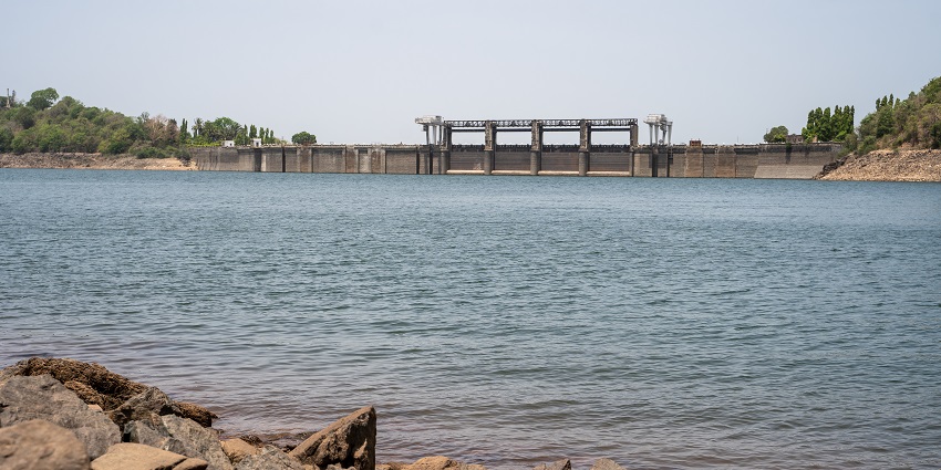 Bhadra Wildlife Sanctuary: A Journey Through Flora And Fauna - TripXL