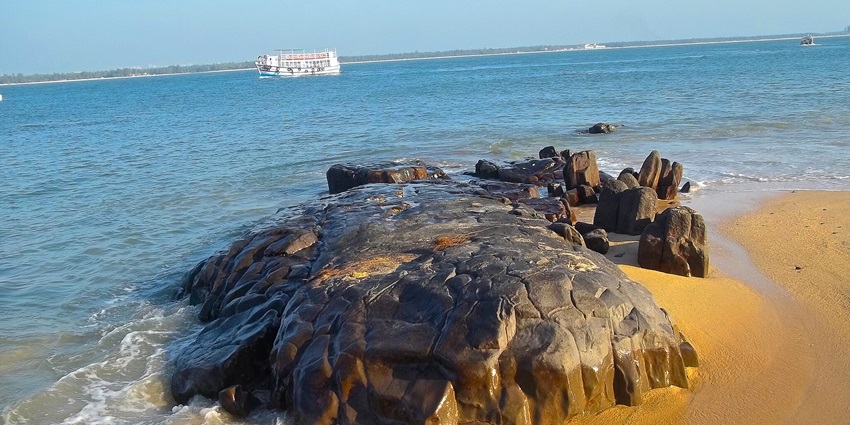 Anshi National Park: Explore The Untamed Beauty Of Karnataka - TripXL
