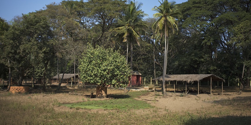 Bhiwani Zoo: Explore The Wildlife And Nature In Haryana - TripXL