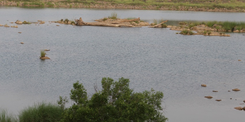 Panna National Park: A Tiger Habitat In Vindhya Hill - TripXL