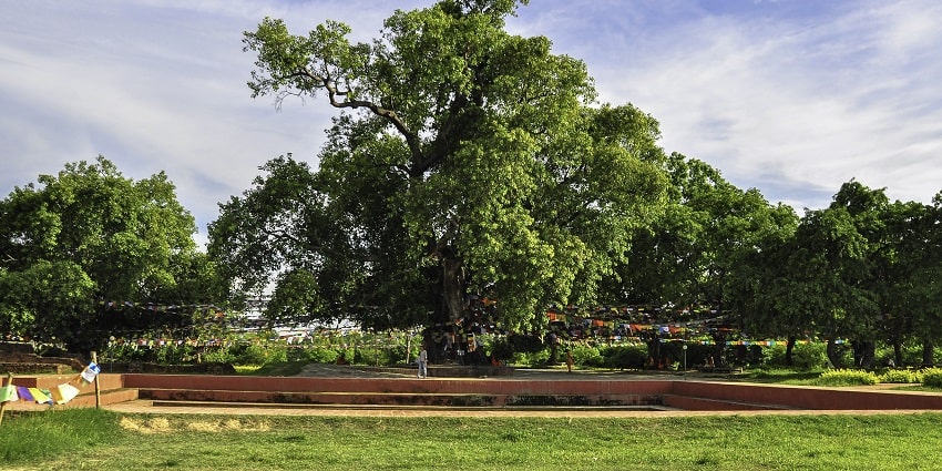 10 Popular Places To Visit In Lumbini On Your Trip To Nepal - TripXL