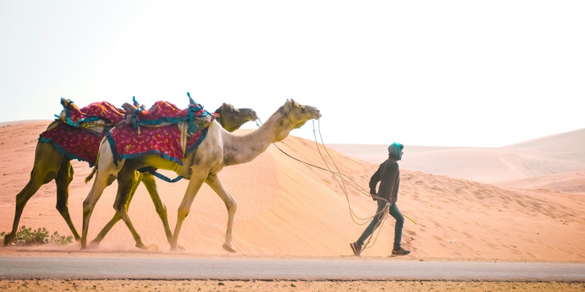 Desert Safari Bikaner: Adventures In The Heart Of Rajasthan - TripXL