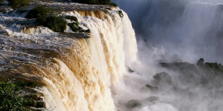 Discover Top Places To Visit In Rewa For An Amazing Experience - TripXL