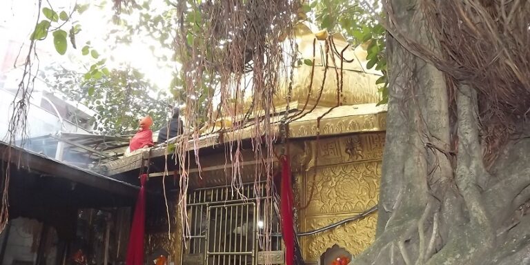 15 Places To Visit Near Jalandhar For An Amazing Experience - TripXL