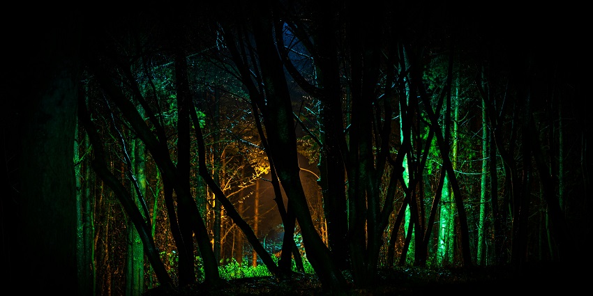 Haunted Places in Gujarat: Unveiling The Tales Of Terror - TripXL