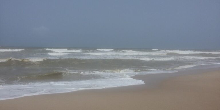 Top 10 Beaches Near Dwarka With Serenity And Natural Beauty - TripXL