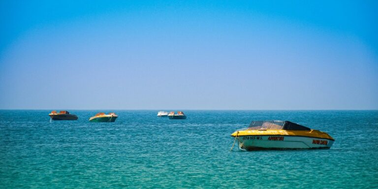Top 11 Beaches In Goa To Soak Up The Sun And Coastal Vibes - TripXL