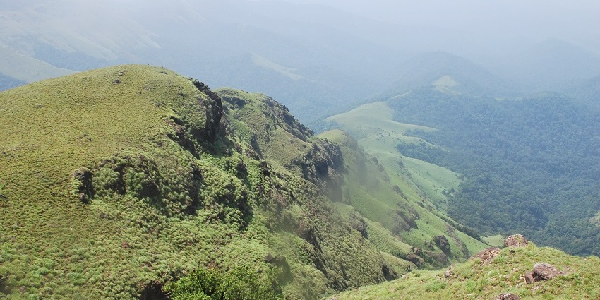 15 Hill Stations Near Bangalore For One Day Trip: A Quick Getaway - TripXL