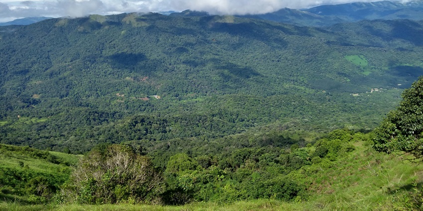 Scenic Hill Stations Near Bangalore For A Peaceful Retreat - TripXL