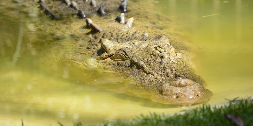 15 Places To Visit In Borivali For An Astonishing Getaway - TripXL