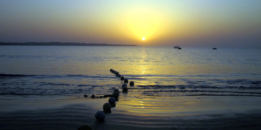 One Day Picnic Places Near Surat For The Perfect Getaway - TripXL