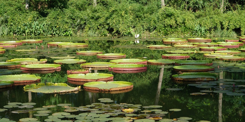 15 Best Places To Visit Near Rajahmundry For A Fun Trip - TripXL