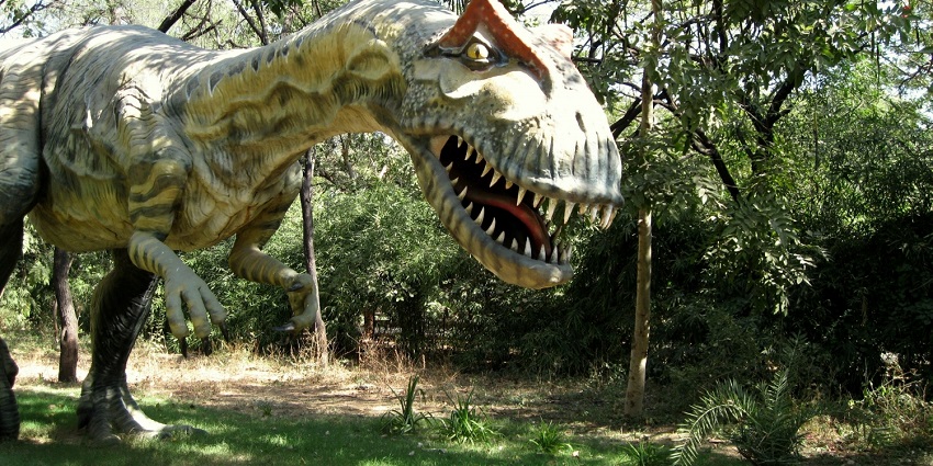 Dinosaur Fossil Park And Museum: Footprints And Exhibits - TripXL