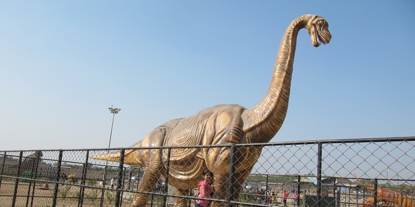 Diu Museum: Explore Artefacts And Statues Of Historic Times - TripXL