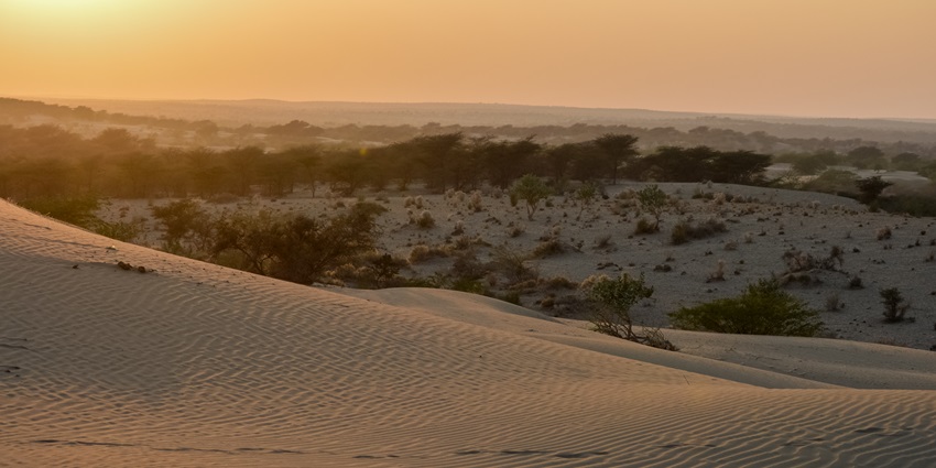 15 Things To Do In Barmer To Enjoy The Vibrant Destination - TripXL