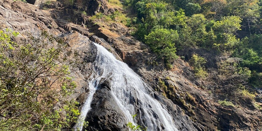 Mollem National Park: Explore The Exotic Fauna In Goa - TripXL