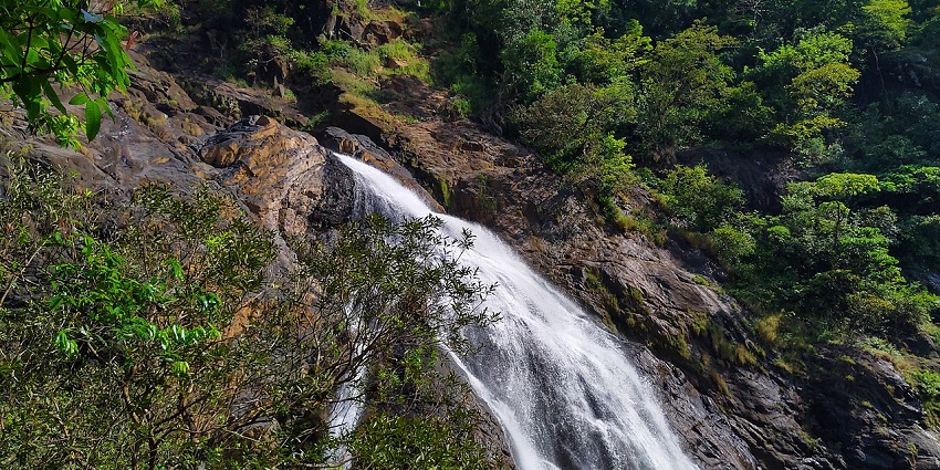 Trekking In Goa: Exploring Natural Treasure In South India - TripXL