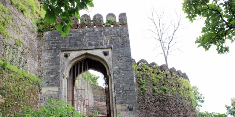 12 Best Things To Do In Sikar When In Rajasthan - TripXL