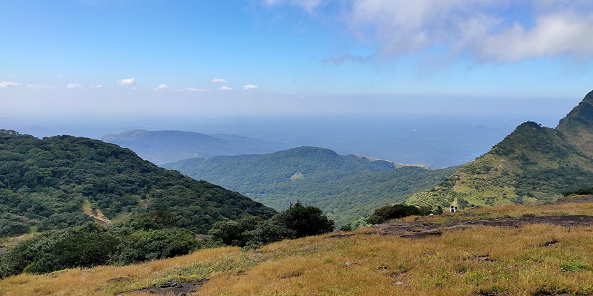 Agasthyamalai Trekking: Unveil The Next Adventure In Kerala - TripXL