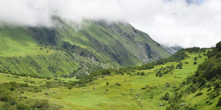 10 Best Places To Visit In Araku - TripXL