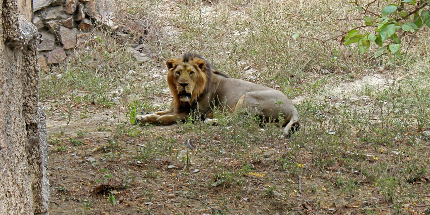 Weekend Places In Gujarat: 13 Breathtaking Places To Explore - TripXL
