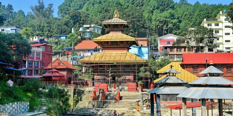 Parsa National Park: Explore The Exotic Fauna In Nepal - TripXL