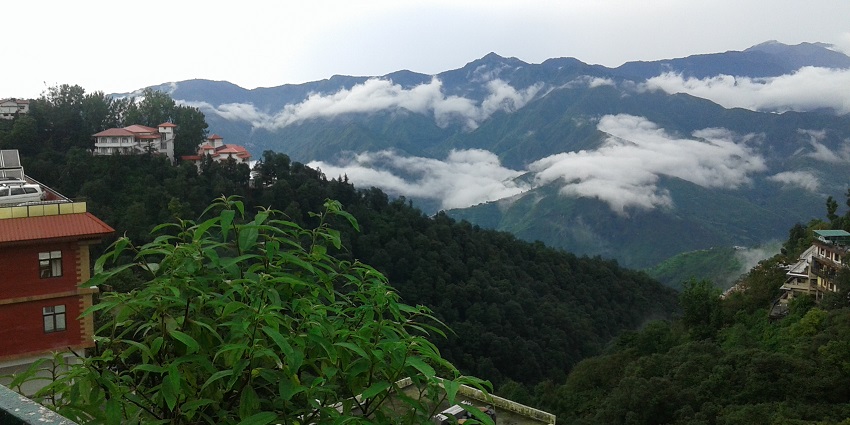 Places To Visit In Maredumilli: A Guide For All Travellers - TripXL