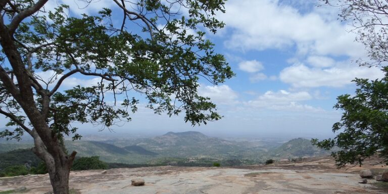 Top 14 Places To Visit In Chittoor: Explore The Local Wonders - TripXL