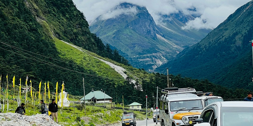 Yumthang Valley In April: A Guide To The Valley Of Flowers - TripXL