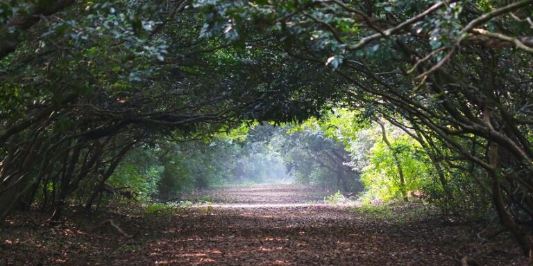 Lakhari Valley Wildlife Sanctuary: A Wildlife Adventure - TripXL